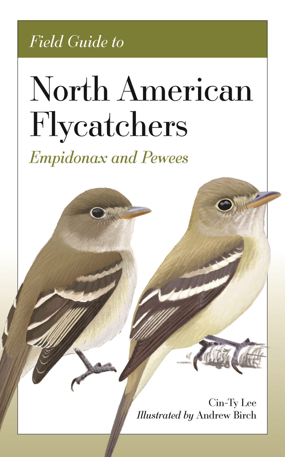 Field Guide to North American Flycatchers: Empidonax and Pewees – Association of Field ...